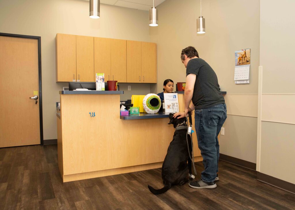 Pet Pannus (Chronic Superficial Keratitis) In Katy, TX 77450 | Animal ...