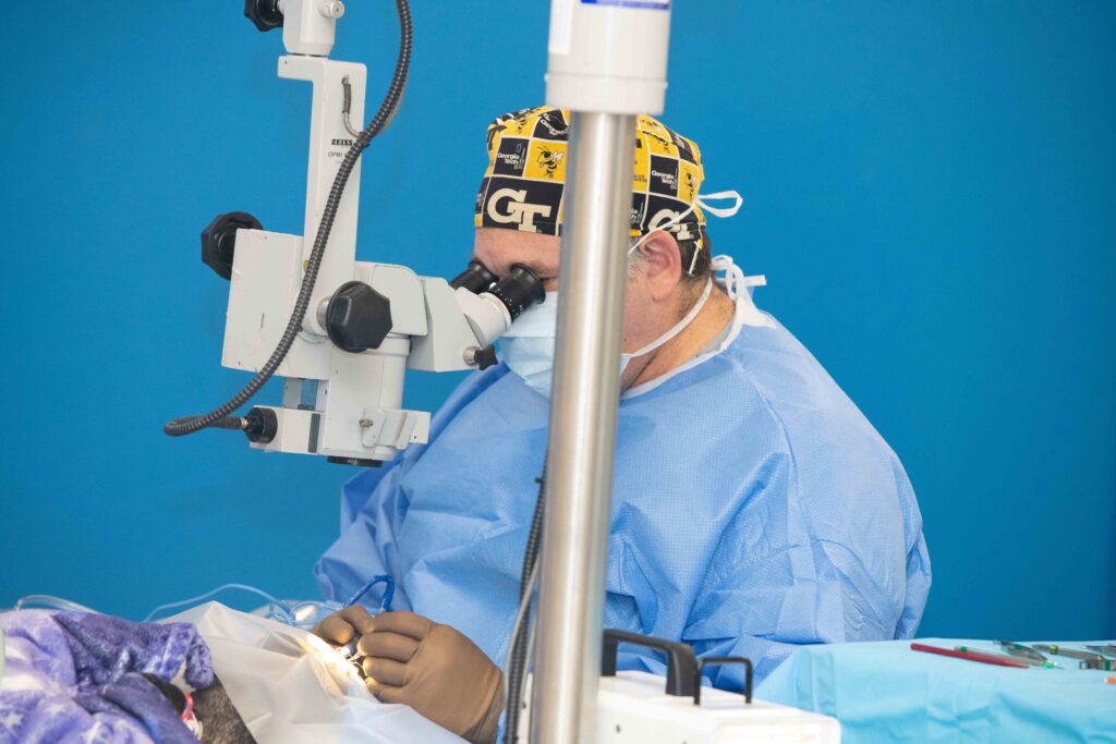 Pet Retinal Hemorrhage In Katy, TX 77450 | Animal Eye Medical ...