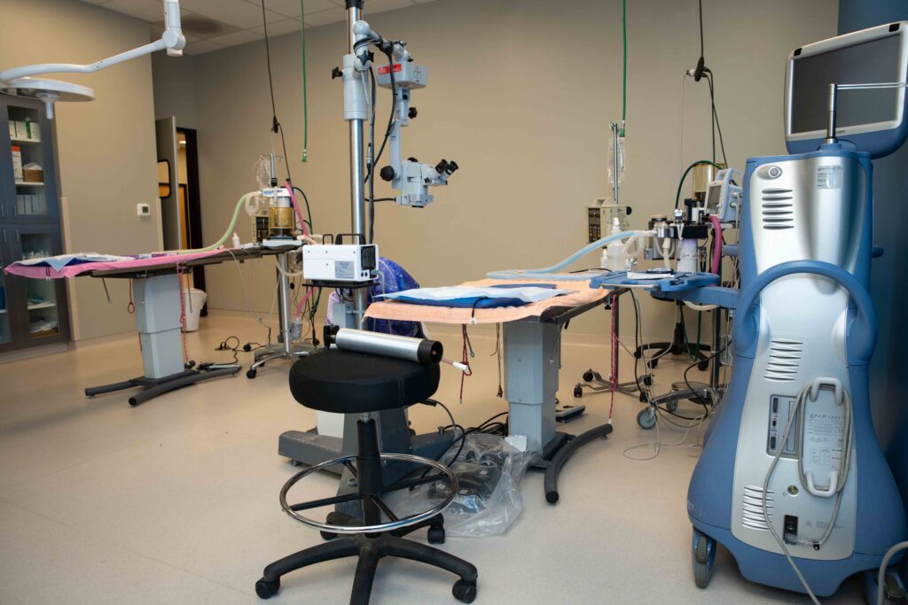 Pet Sudden Acquired Retinal Degeneration (SARDS) In Katy, TX 77450 ...